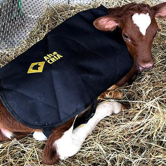 Alta Genetics do Brasil - Loja virtual