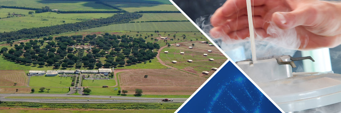 Alta Genetics do Brasil - Loja virtual